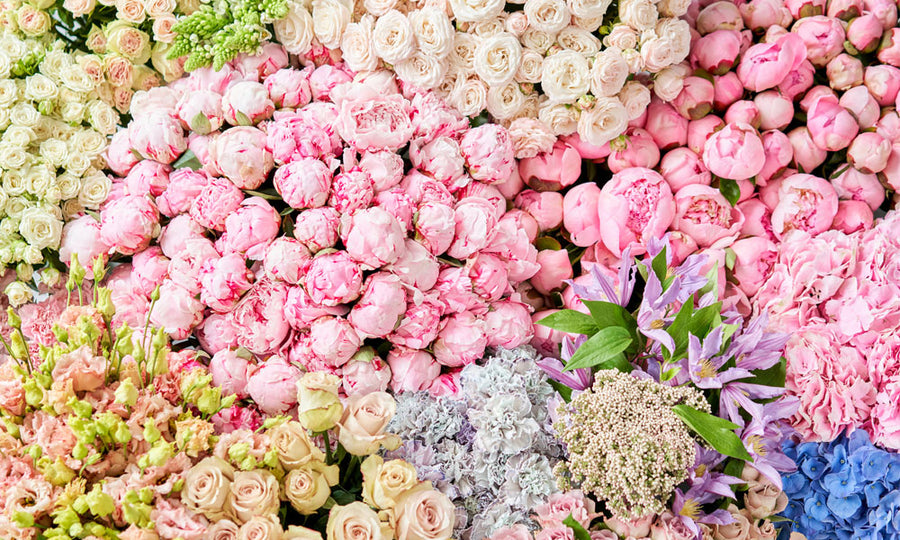 Wedding Flowers | An Overview of the Best January Flowers